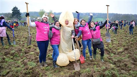 The Ultimate Guide To Scoring Free Sex Toys Insider Tips And Tricks