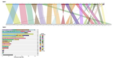 Awesome Genome Visualization