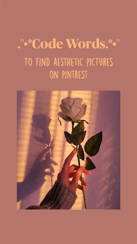 Code Words •° To Find Aesthetic Pictures On Pintrest Artofit