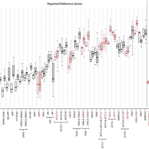 Evaluation Of Previously Reported Reference Genes And New Candidate Download Scientific Diagram