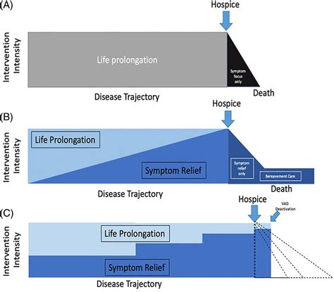 Conceptual Models Of Palliative Care A The “old” Model Of Palliative