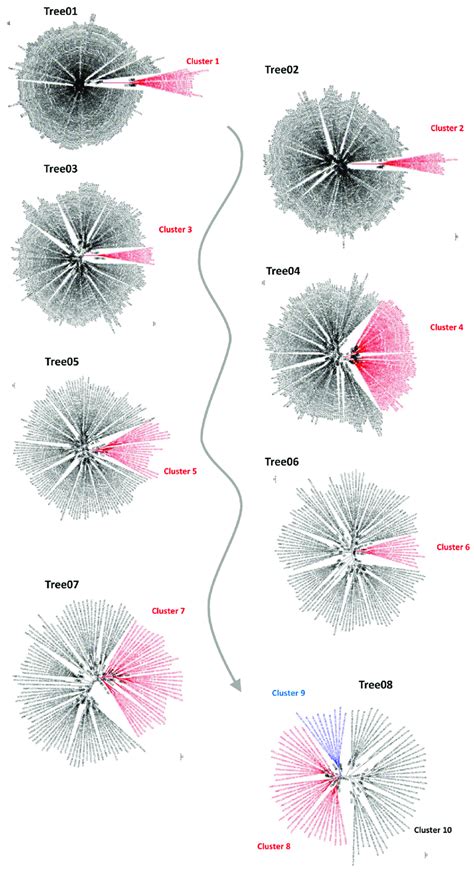 Schematic Illustration Of The Iterative Method Using Unrooted Download Scientific Diagram