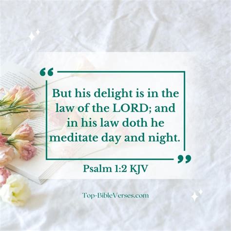 Psalm 12 Bible Verse Dp Images But His Delight Is In The Law Of The Lord
