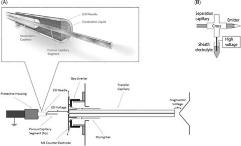 Schematic Representations Of A Porous Electrospray Ionization Esi