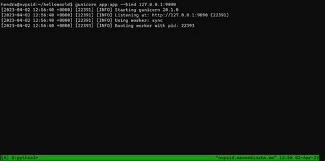 Deploy Aplikasi Web Python Pada Nat Vps Netlywin