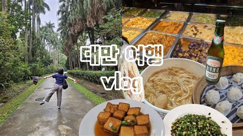 63 이번엔 대만 여행 브이로그 디니의숲 Youtube