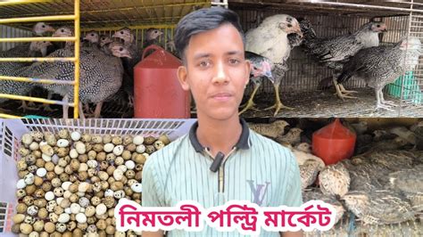371 স্বস্তায় মুরগির বাচ্চা টার্কি তিতির কোয়েল পাবেন নিমতলি মার্কেটে । Shorif And Chicken Bd