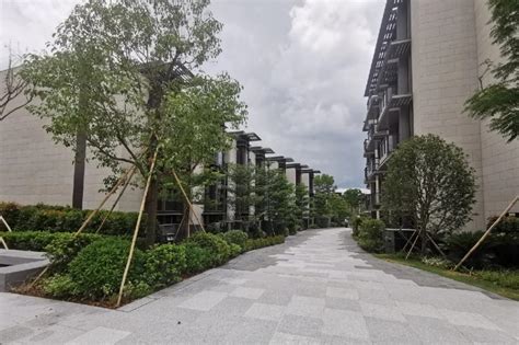 加推 林海山城招标加推57个单位 香港房产网
