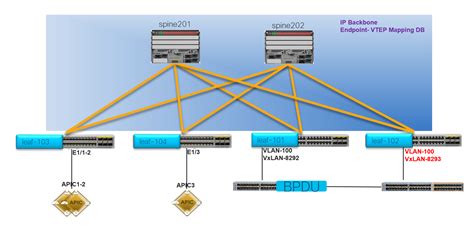 Overlap Vlan Pool Lead Intermittent Packet Drop To Vpc Endpoints And