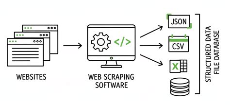 Api Vs Scraping Key Differences Explained — Rapidseedbox