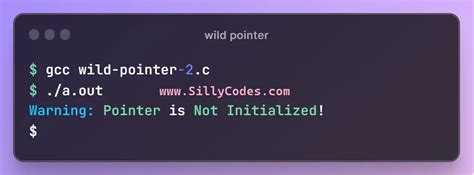 Wild Pointer In C Language With Example Programs Sillycodes