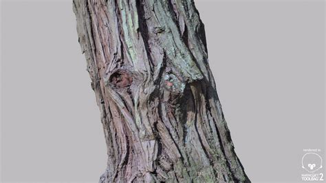 ROMAIN ROUFFET作品转正 资源 花魁小站