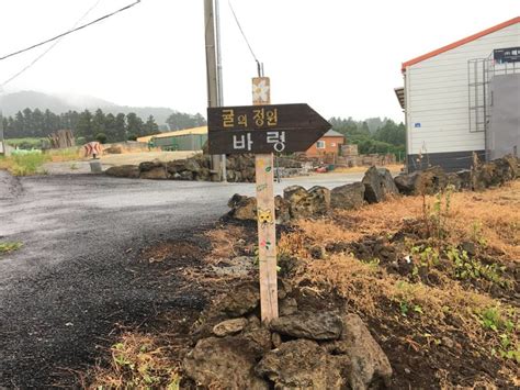 귤의 정원 바령