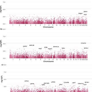 Manhattan Plot For Genes Panels Depict The Log P Value Of Download Scientific Diagram