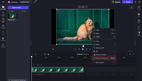 Detailed Guide To Change Image Background Color In Clipchamp
