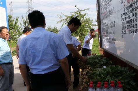 河南省四优四化科技支撑行动计划高油花生品种豫花9326及绿色高质高效生产技术现场观摩会在延津县召开 政府信息公开专栏 新乡市农业科学院