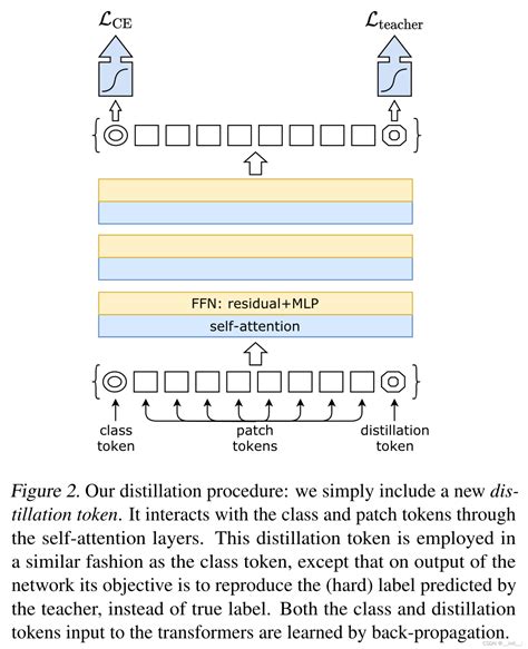 Pre trained ViT 合集 pretrain vit CSDN博客