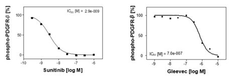 Pdgfr Beta Cellular Phosphorylation Assay Service Reaction Biology