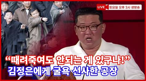 사기 쳤다가 인민의 비웃음거리가 된 김정은 ‘최고존엄의 권위 날개없이 지하실로 Youtube