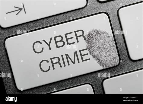 computer crimes