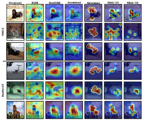 Reinforcement Explanation Learning