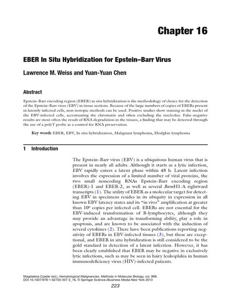 2013eber In Situ Hybridization Weiss Pdf Lymphoma Medical Specialties