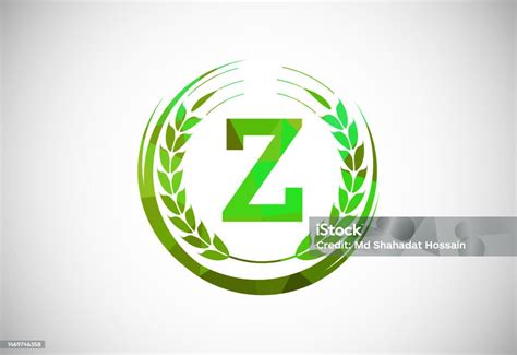 알파벳 Z 기호와 밀 화환 다각형 낮은 폴리 유기농 밀 농업 로고 개념 농업 로고 디자인 벡터 템플릿입니다 개념에 대한 스톡