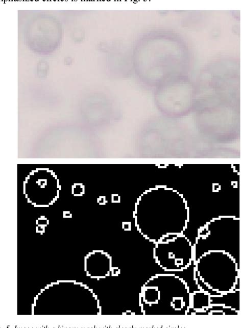 Figure 5 From Neural Network And Convolutional Algorith To Extract