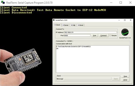 Simple NodeMCU Client Server Making It Up