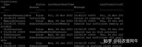 kubernetes入门看这篇就够了 知乎