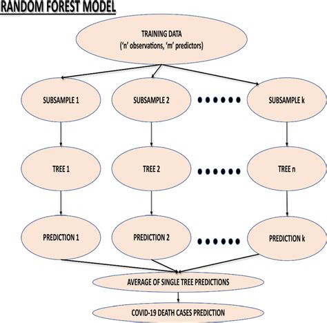 Workflow Diagram For Random Forest Download Scientific Diagram