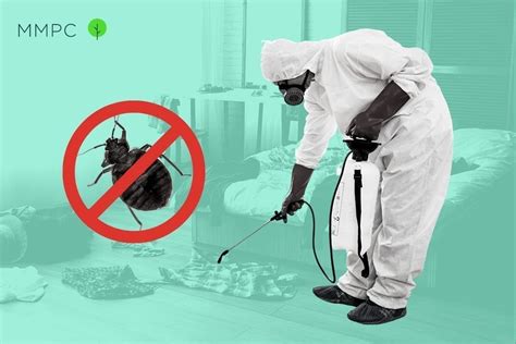 How To Get Rid Of Bed Bugs A Step Guide
