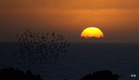 Recent Sunset Photos They Are Breathtaking Mendonoma Sightings