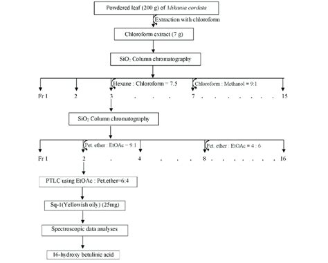 Schematic Diagram For Isolation And Purification Of 16 Hydroxy
