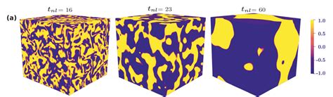 Iit Kanpur Research Unlocks The Mysteries Of Binary Fluid Dynamics