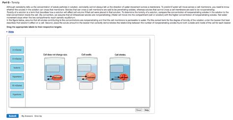 Solved Although Osmolarity Tells Us The Concentration Of