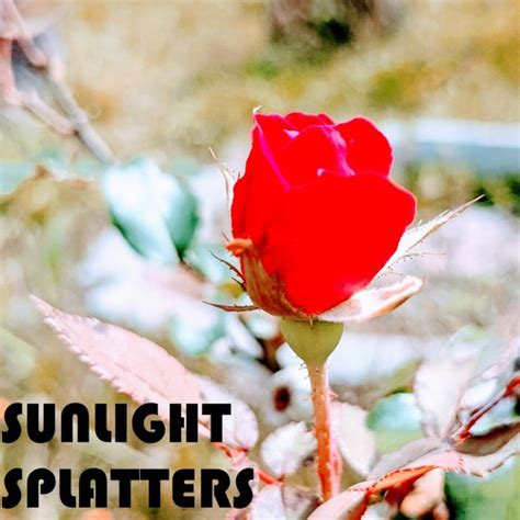 Stream Sunlight Splatters By Signal Controller Listen Online For Free On Soundcloud