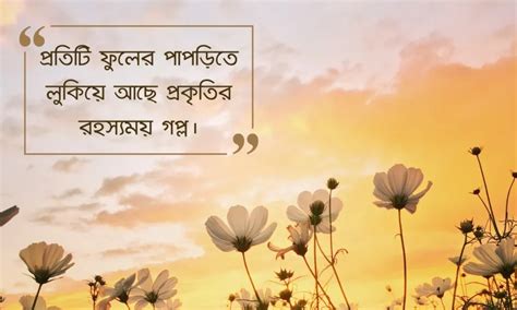 শুভ সকাল মেসেজ স্ট্যাটাস ক্যাপশন শুভেচ্ছা ও ছবি ২০২৪
