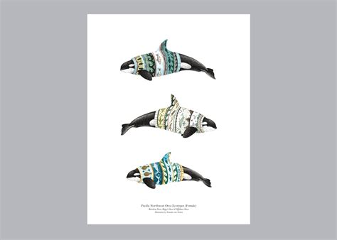 Pacific Northwest Orca Ecotypes Female Natasha Van Netten Designs