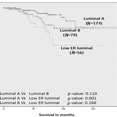 Older Women With Oestrogen Receptor Positive Primary Breast Cancer