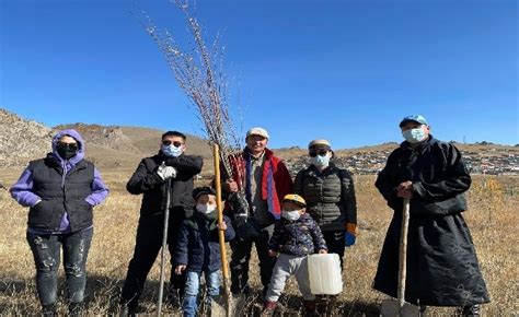 “ТЭРБУМ МОД” ТАРИХ ҮНДЭСНИЙ ХӨДӨЛГӨӨН Үндэсний Аудитын Газар