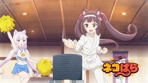 About 18 Scenes In Nekopara Vol 4 Rnekoparagame