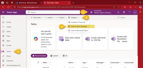 Dataverse Meets Fabric Direct Link
