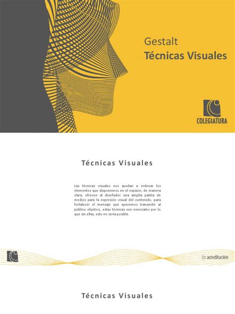 Presentacion 6 Técnicas Visuales Pdf
