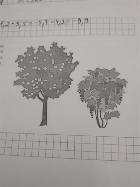 На рисунке изображены дерево и растущий рядом куст Высота дерева равна 4 1 м Какова примерная