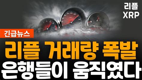 ※긴급속보※ 리플 Xrp 글로벌 은행 움직였다 Youtube