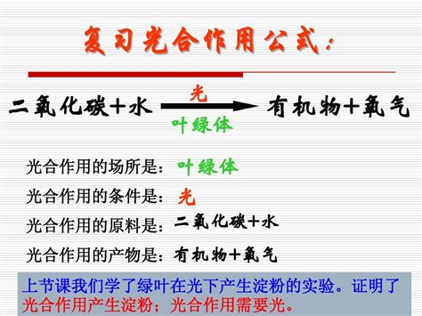 第三节植物光合作用的实质 2 Word文档在线阅读与下载 无忧文档