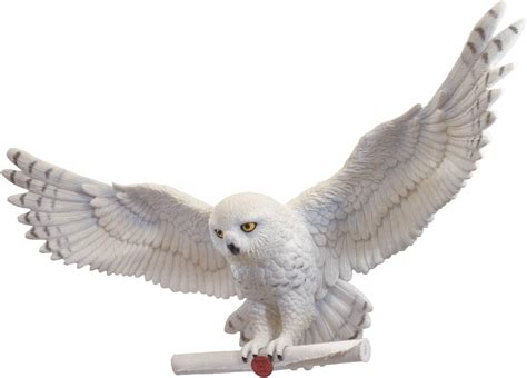 Сова из гарри поттера для печати картинки для рабочего стола и фото обои