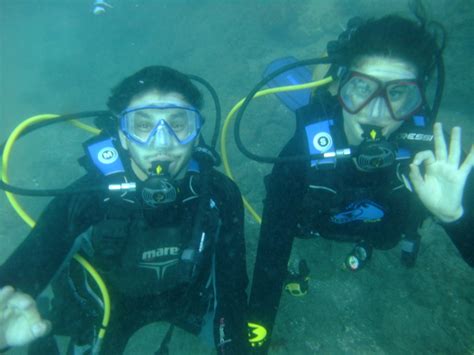 2025 Ocean Echo Scuba Santa Maria Dive Centre And Scuba Diving