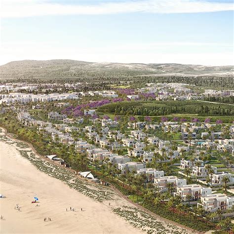 Andrew Watkins Jzmk Partners